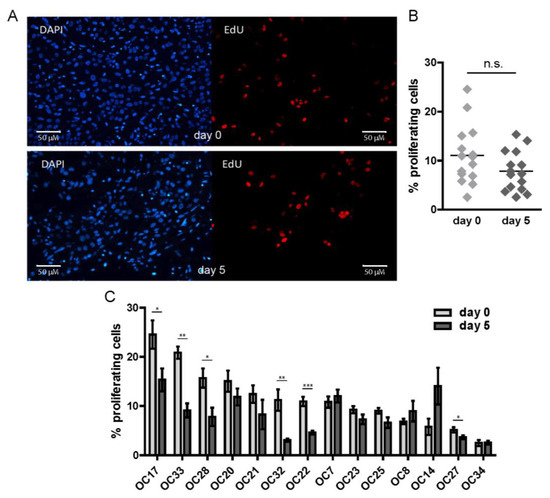 Cancers | Free Full-Text | Ex Vivo Functional Assay for Evaluating ...