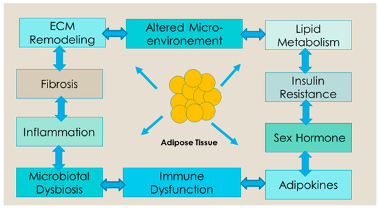 Obesity and Cancer: A Current Overview of Epidemiology, Pathogenesis ...