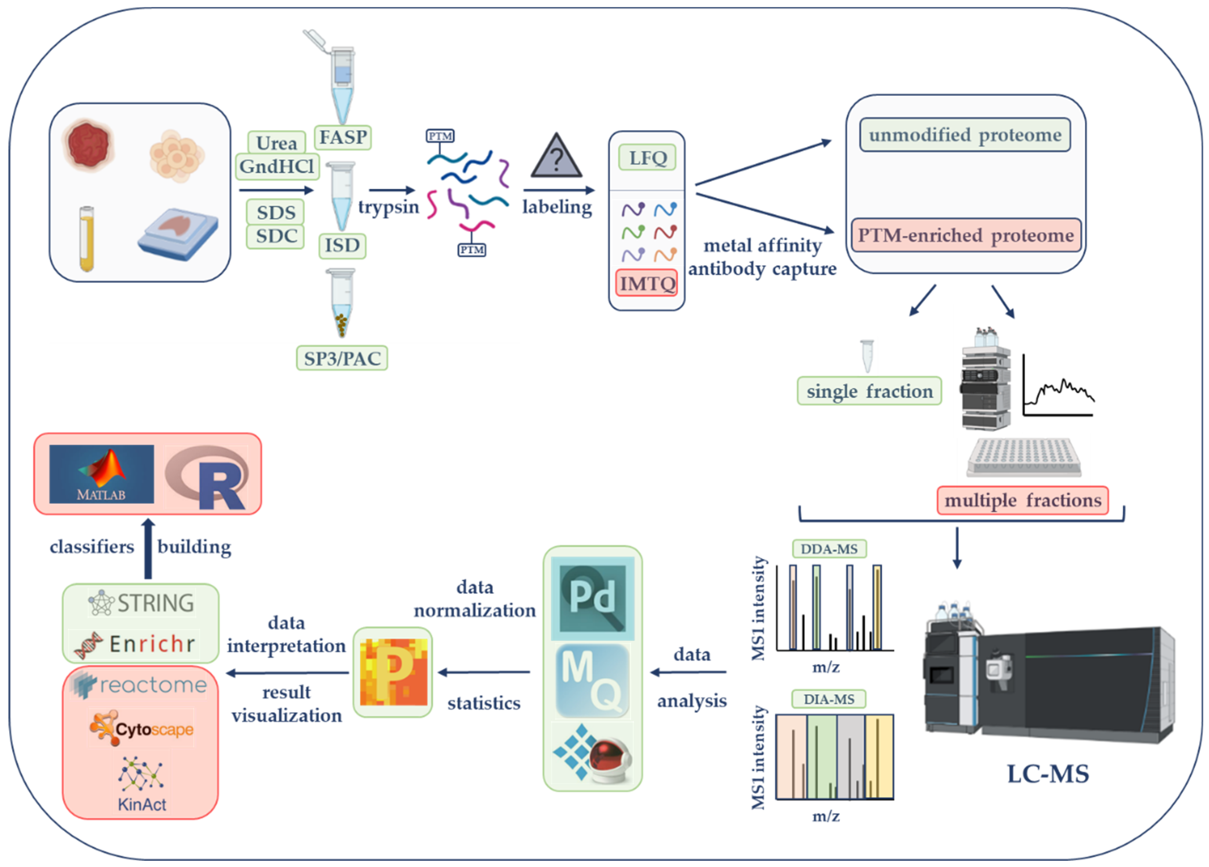 Cancers Free Full Text Mass Spectrometry Based Proteomics Workflows