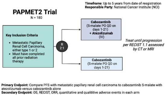 An Update on the Treatment of Papillary Renal Cell Carcinoma