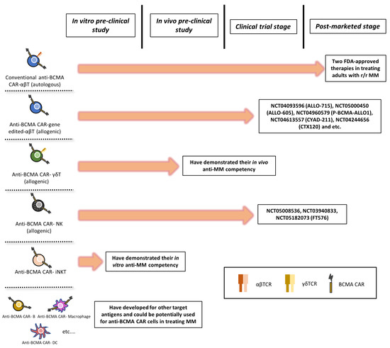 Non-Conventional Allogeneic Anti-BCMA Chimeric Antigen Receptor-Based Immune Cell Therapies for ...