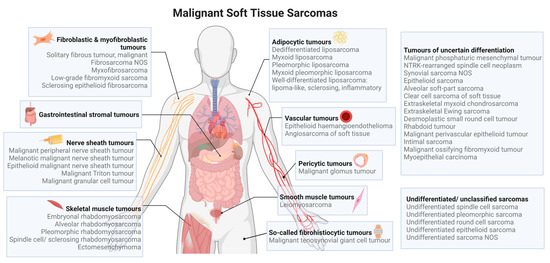 MicroRNAs in the Pathogenesis, Prognostication and Prediction of Treatment Resistance in Soft ...
