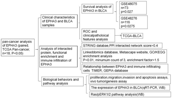 EPHA3 Could Be a Novel Prognosis Biomarker and Correlates with Immune ...