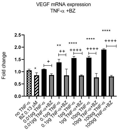 Tumour Necrosis Factor-Alpha (TNF-α)-Induced Metastatic Phenotype in ...