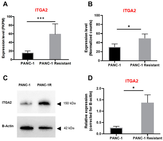 Prognostic Significance of Integrin Subunit Alpha 2 (ITGA2) and Role of ...