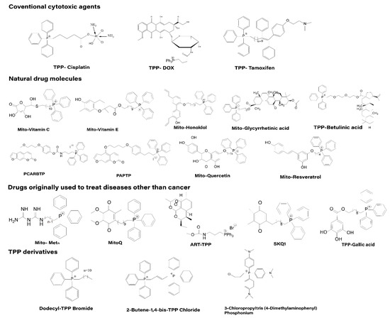 Application Prospects of Triphenylphosphine-Based Mitochondria-Targeted ...