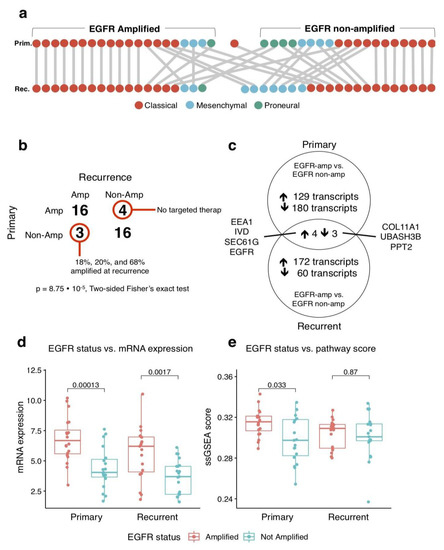 EGFR Pathway Expression Persists in Recurrent Glioblastoma Independent ...