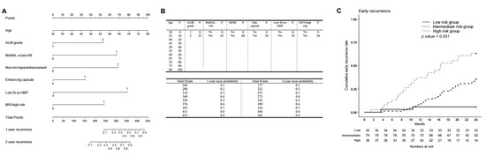Risk Group Stratification for Recurrence-Free Survival and Early Tumor ...