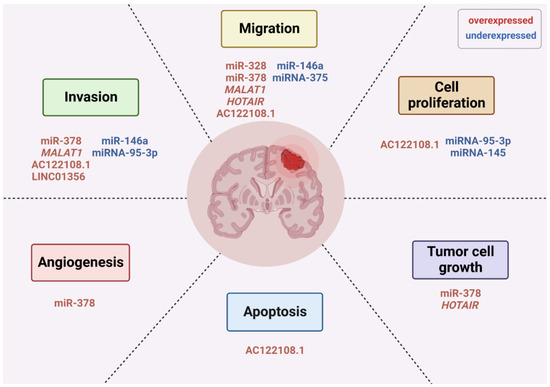 Advances in the Molecular Landscape of Lung Cancer Brain Metastasis