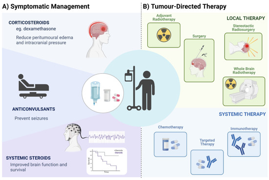 Advances in the Molecular Landscape of Lung Cancer Brain Metastasis
