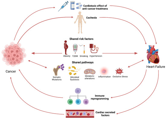 Multifactorial Diseases of the Heart, Kidneys, Lungs, and Liver and ...