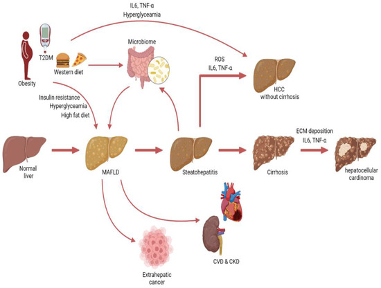 Multifactorial Diseases of the Heart, Kidneys, Lungs, and Liver and ...