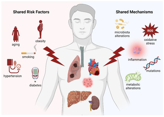 Multifactorial Diseases of the Heart, Kidneys, Lungs, and Liver and ...