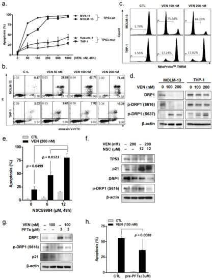 Drp 1 For Adeno Associated Virus