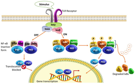 Unraveling the Complex Interconnection between Specific Inflammatory ...