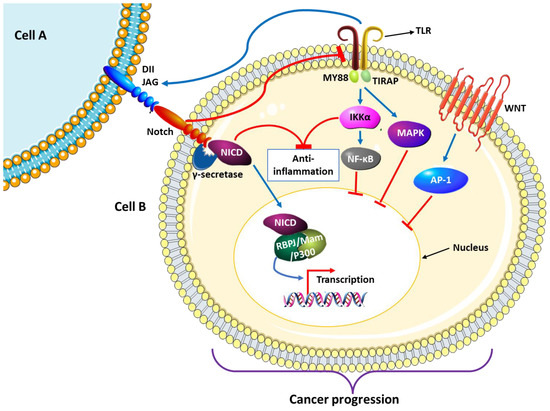 Unraveling the Complex Interconnection between Specific Inflammatory ...