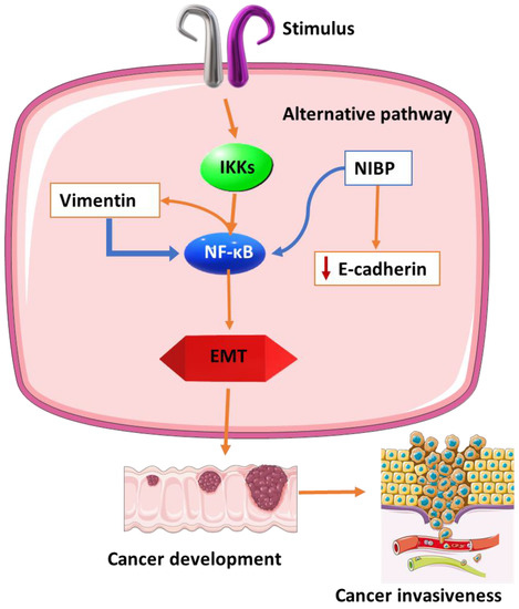 Unraveling the Complex Interconnection between Specific Inflammatory ...
