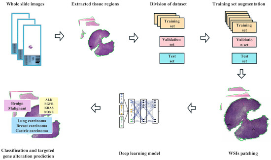 Deep Learning-Based Classification and Targeted Gene Alteration ...