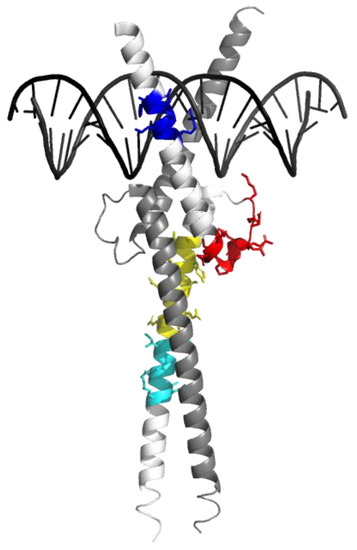 Pharmacokinetic Analysis of Omomyc Shows Lasting Structural Integrity ...