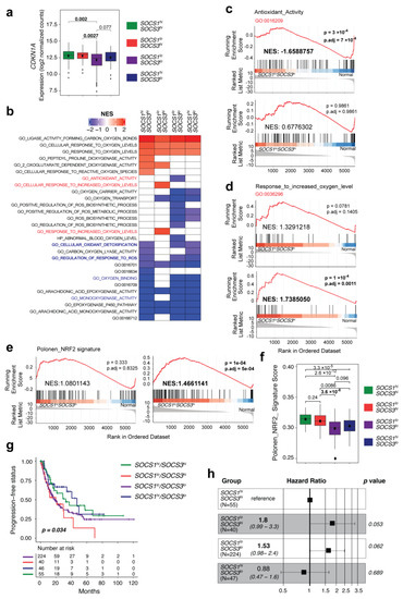 SOCS1 Deficiency Promotes Hepatocellular Carcinoma via SOCS3-Dependent ...