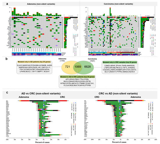 Patterns of Somatic Variants in Colorectal Adenoma and Carcinoma Tissue ...