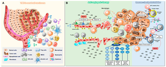 A New Treatment Landscape for RCC: Association of the Human Microbiome ...