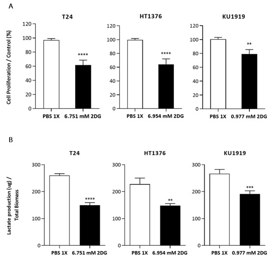 Glucose Metabolism Reprogramming in Bladder Cancer: Hexokinase 2 (HK2 ...