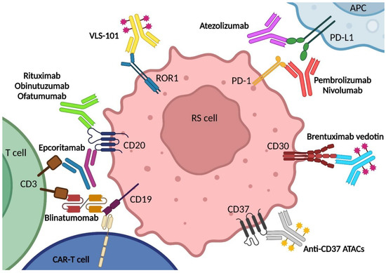 Immunological Aspects of Richter Syndrome: From Immune Dysfunction to ...