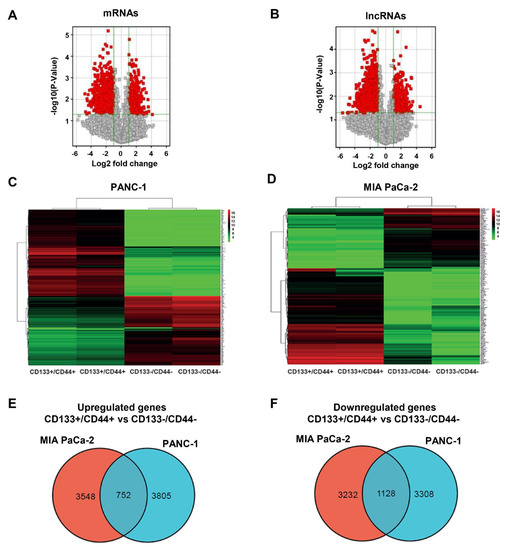 Genome-Wide Analysis of lncRNA-mRNA Co-Expression Networks in CD133+/CD44+ Stem-like PDAC Cells