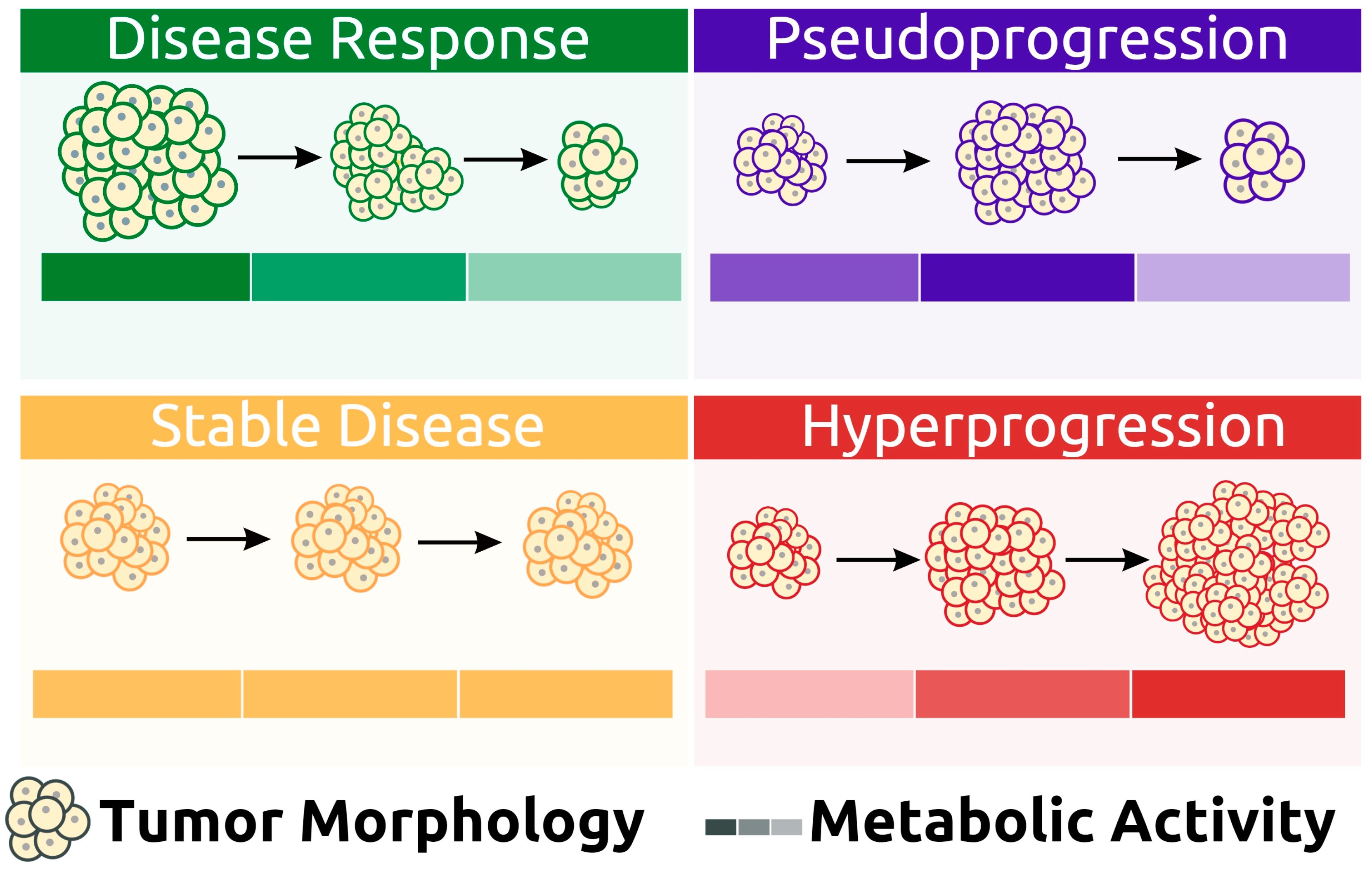 FDG-PET/CT in the Monitoring of Lymphoma Immunotherapy Response ...