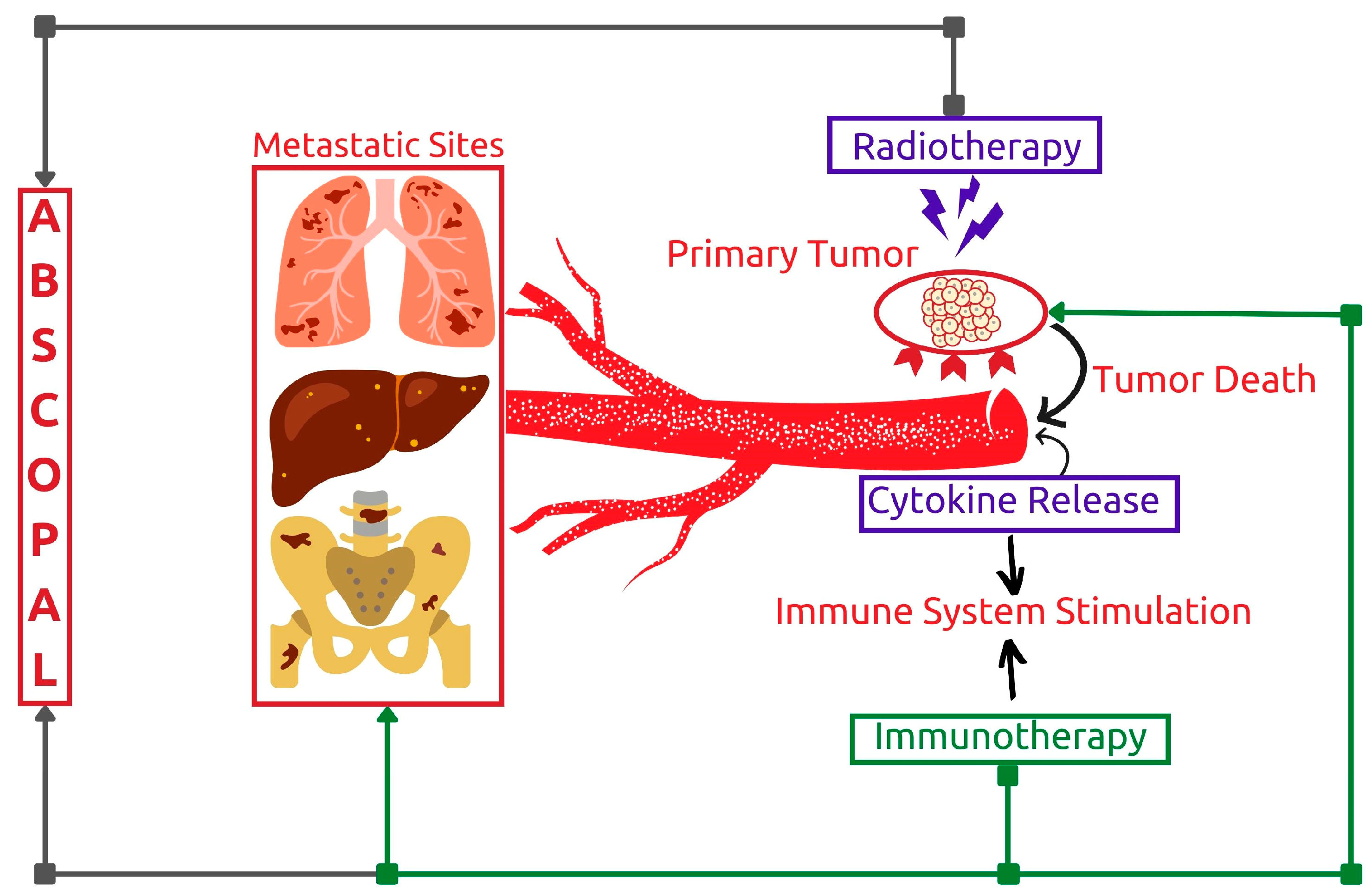 FDG-PET/CT in the Monitoring of Lymphoma Immunotherapy Response ...