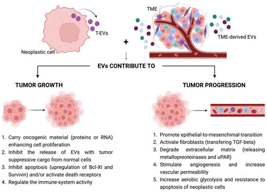 Extracellular Vesicles in Cancer Drug Resistance: Implications on Melanoma Therapy