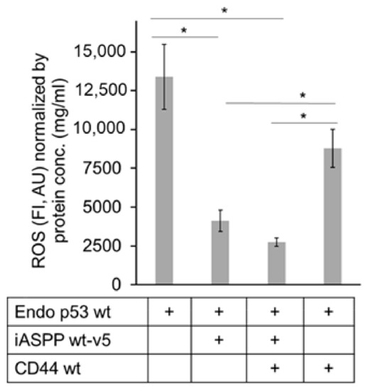Hyaluronan-Induced CD44-iASPP Interaction Affects Fibroblast Migration ...