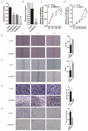 RBM15 Promates the Proliferation, Migration and Invasion of Pancreatic ...