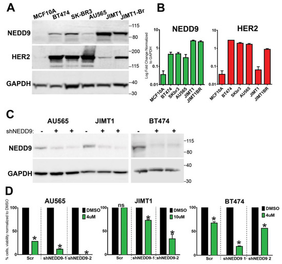 NEDD9 Overexpression Causes Hyperproliferation of Luminal Cells and ...