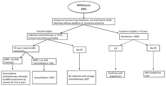 NPM 1 Mutations in AML—The Landscape in 2023