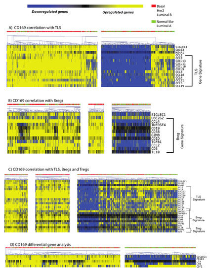 CD169+ Macrophages in Primary Breast Tumors Associate with Tertiary ...