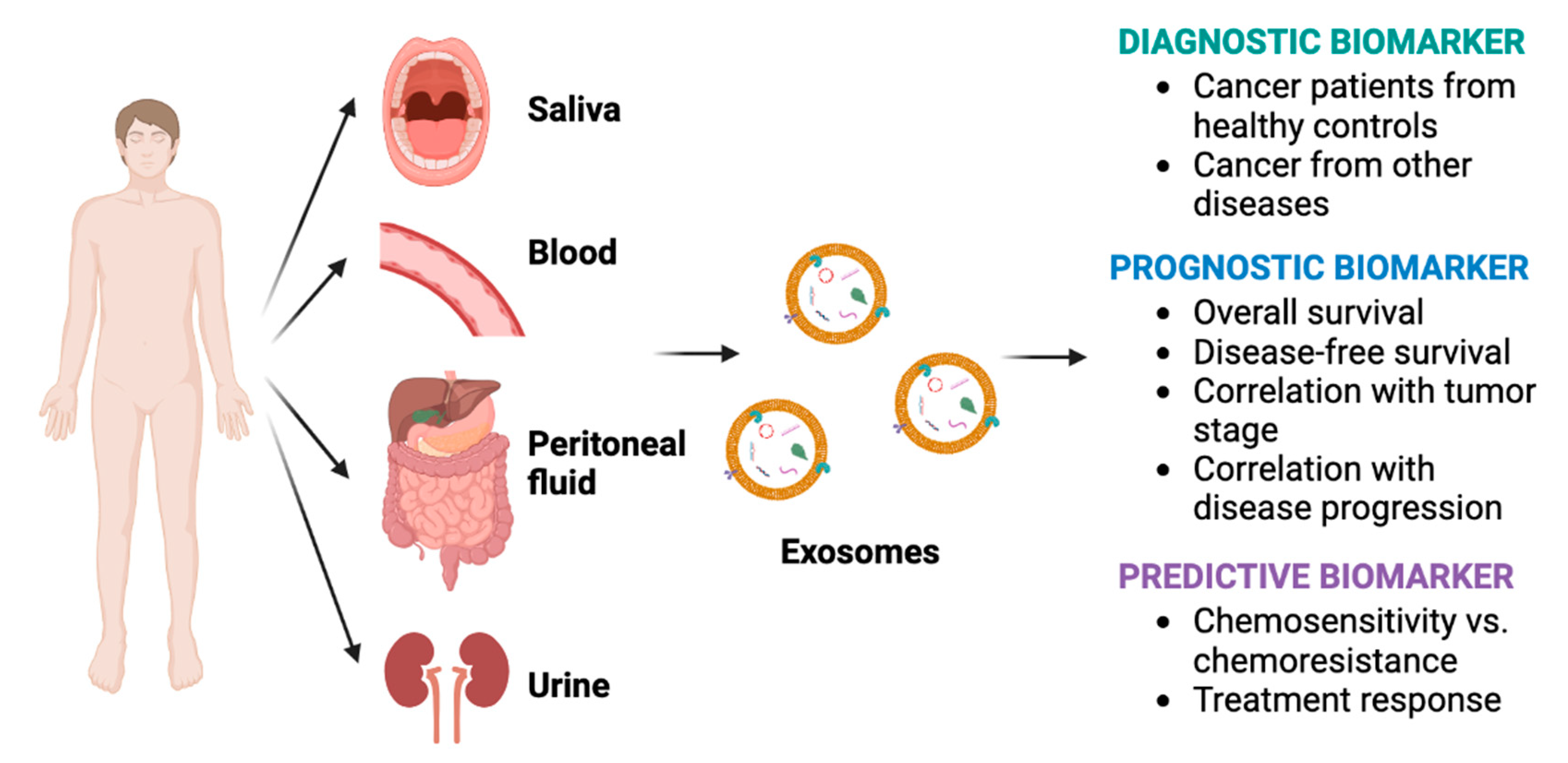 Exosomes as a Source of Biomarkers for Gastrointestinal Cancers