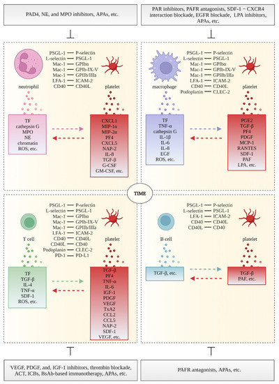 Interactions between Platelets and Tumor Microenvironment Components in ...