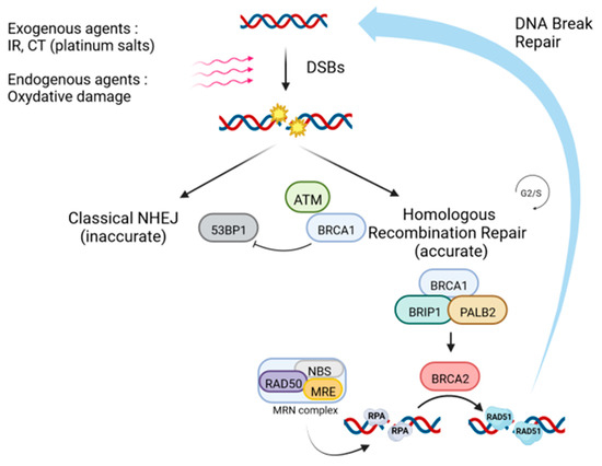 Cancers | Free Full-Text | Clinical Utility of Genomic Tests Evaluating ...