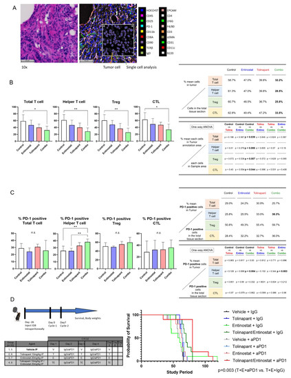 Cancers | Free Full-Text | SMAC Mimetics Synergistically Cooperate with ...