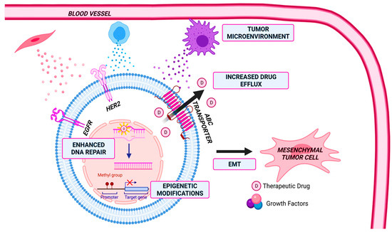 Targeted Therapy and Mechanisms of Drug Resistance in Breast Cancer