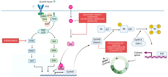 Targeted Therapy and Mechanisms of Drug Resistance in Breast Cancer