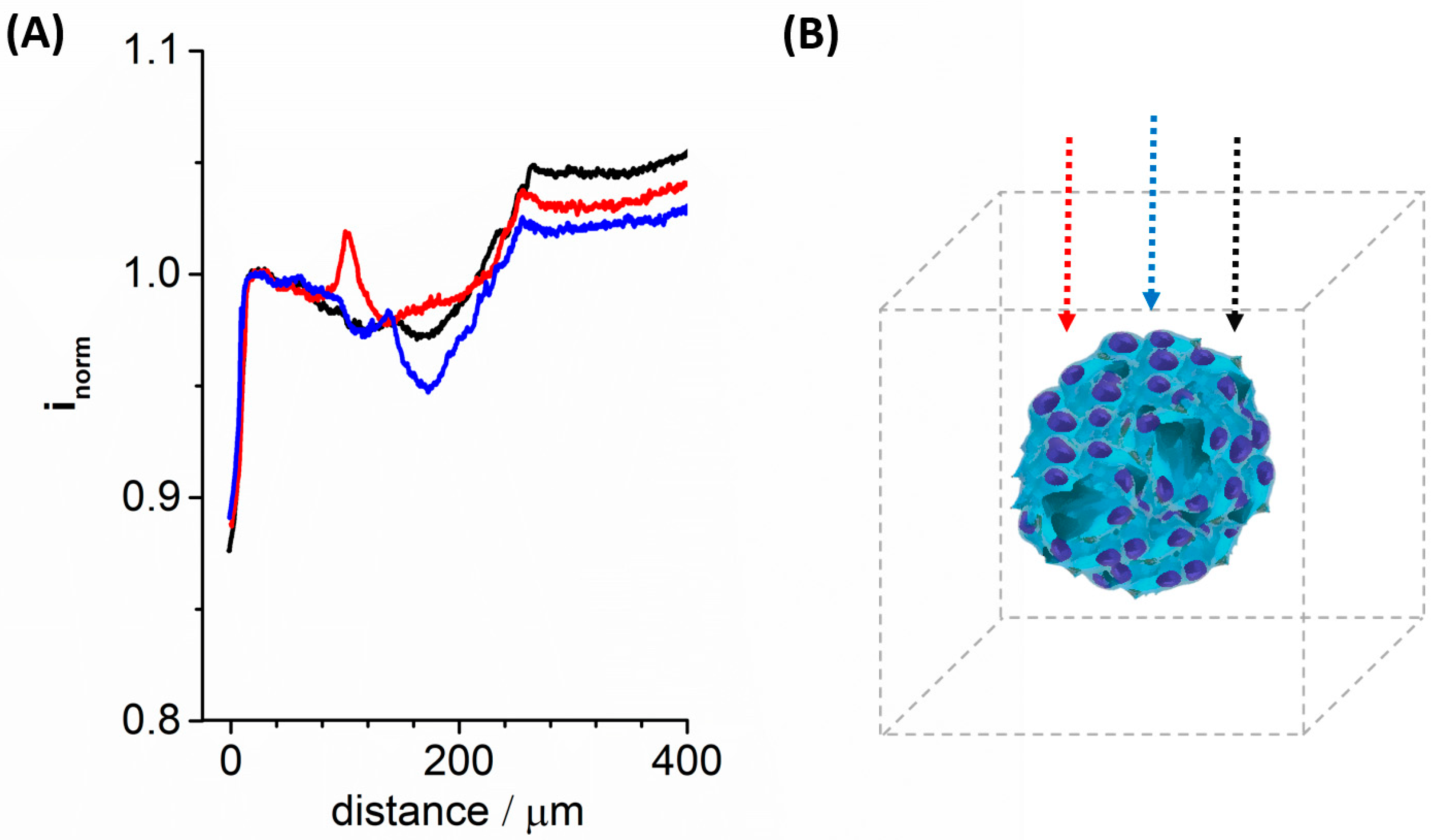 Nano-Electrochemical Characterization of a 3D Bioprinted Cervical Tumor ...