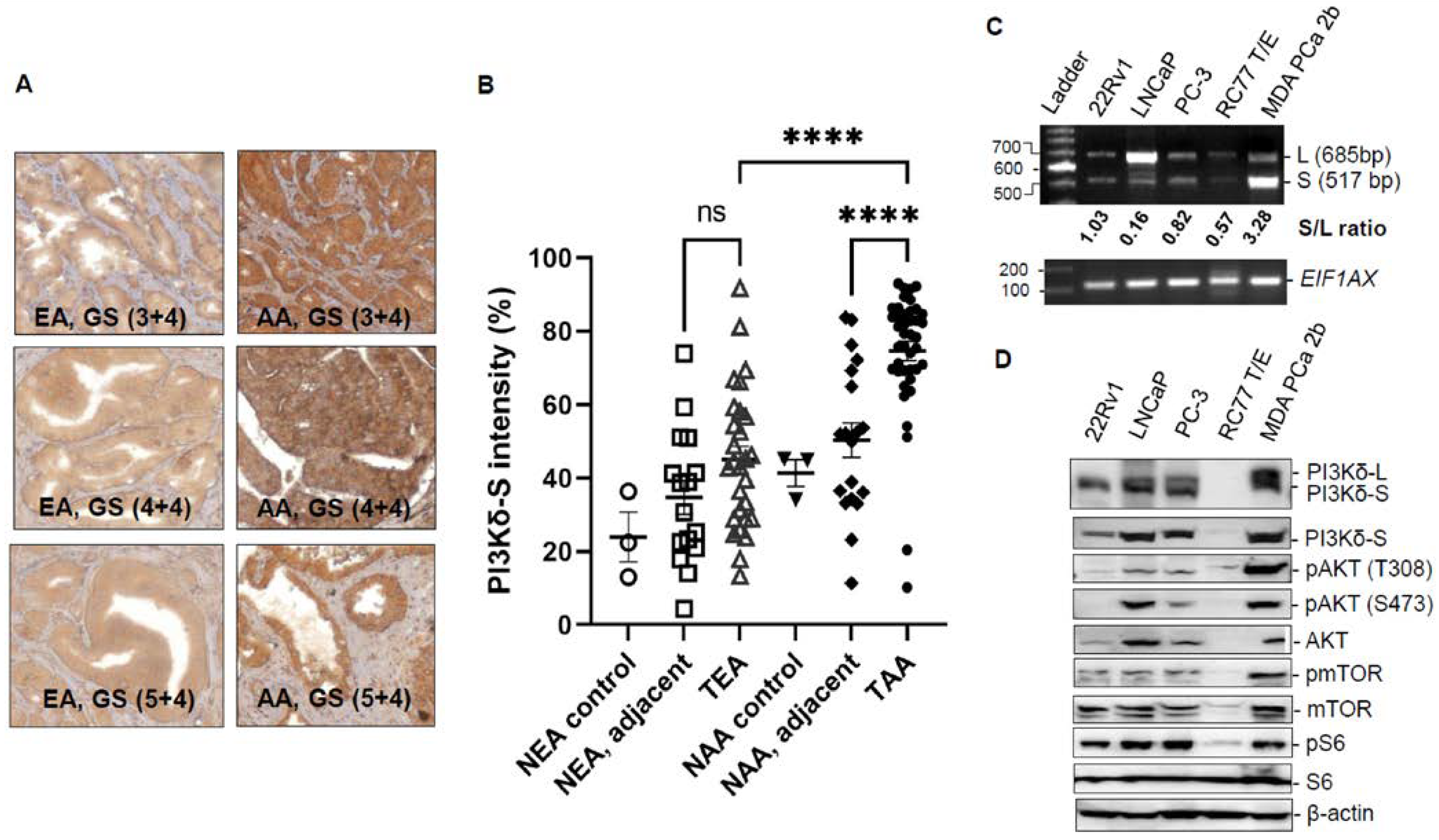 Molecular Insight into Drug Resistance Mechanism Conferred by Aberrant ...