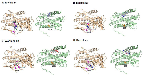 Molecular Insight into Drug Resistance Mechanism Conferred by Aberrant ...