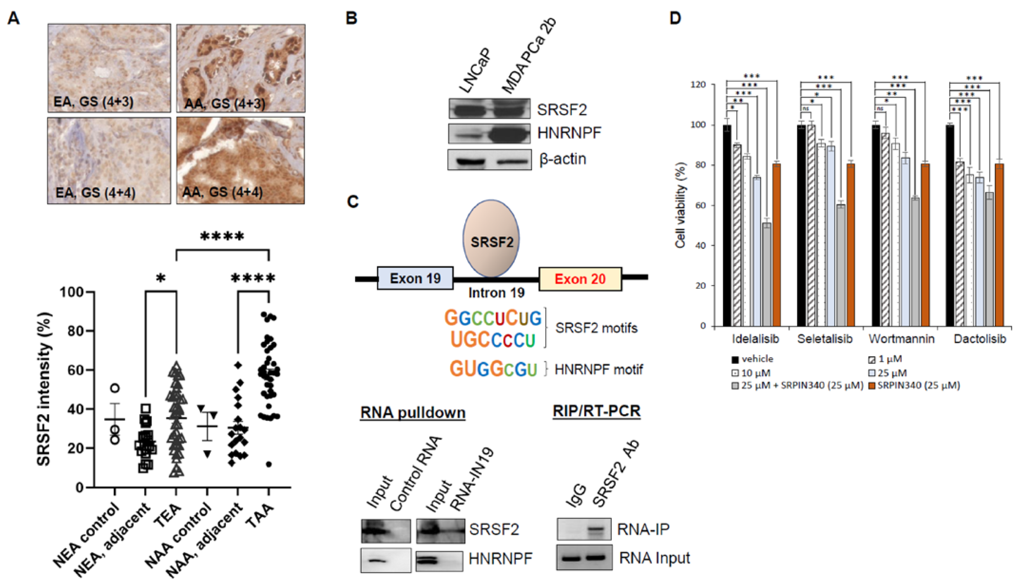 Molecular Insight into Drug Resistance Mechanism Conferred by Aberrant ...