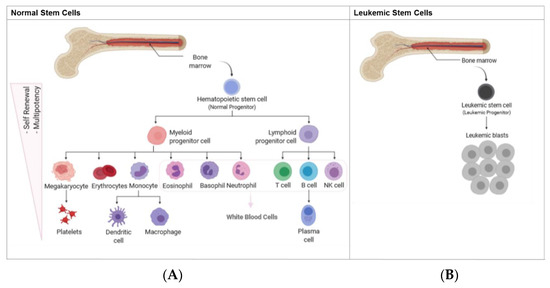 Current and Emerging Techniques for Diagnosis and MRD Detection in AML ...