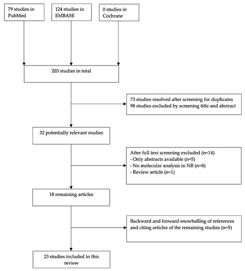 Somatic, Genetic and Epigenetic Changes in Nephrogenic Rests and Their ...