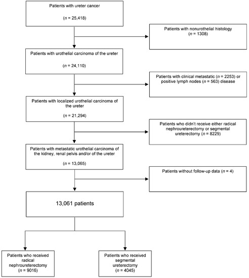 Cancers | Free Full-Text | Is Segmental Ureterectomy Associated with ...